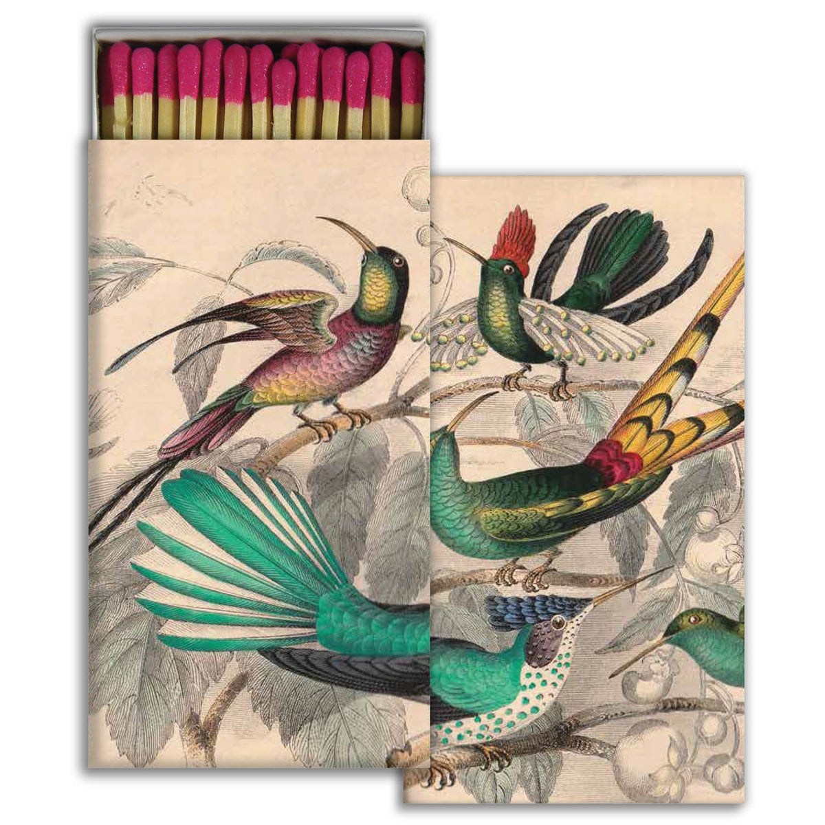 HomArt Rare Birds HomArt Matches– AREO